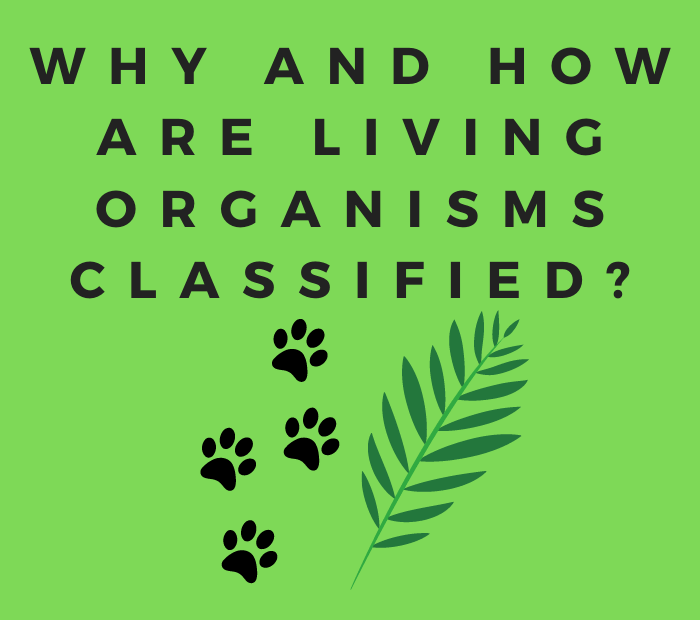 Blog – Page 5 – medicoholic